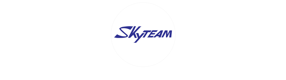 Skyteam Motosikletleri Hakkında Her Şey Burada | Motodeks